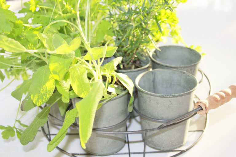 Portable Round Herb Garden – Hutton and Hutton