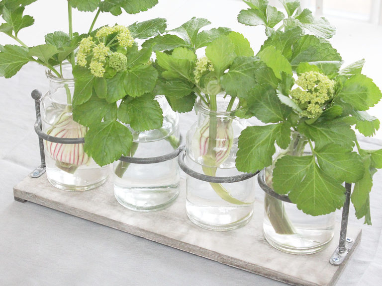 Botanical Bud Set – Hutton and Hutton