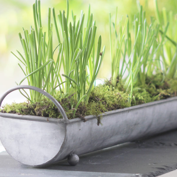Zinc Window Planter – Hutton and Hutton