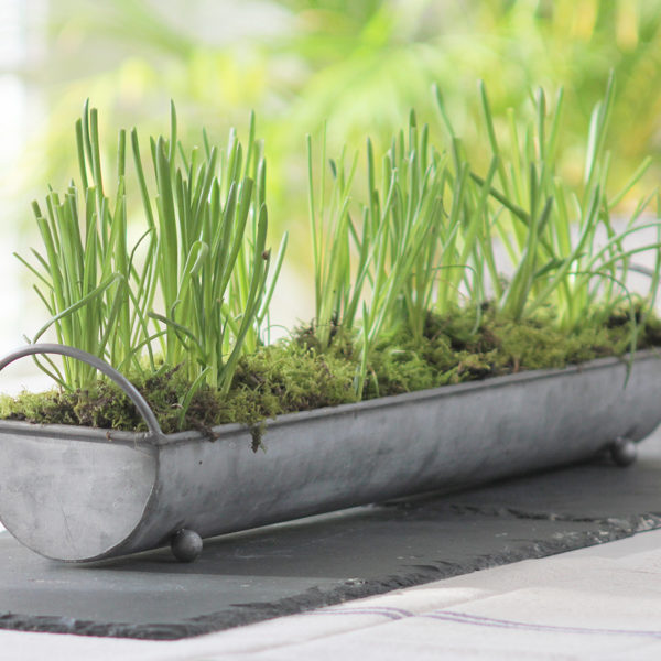 Zinc Window Planter – Hutton and Hutton