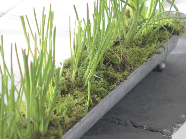 Zinc Window Planter – Hutton and Hutton